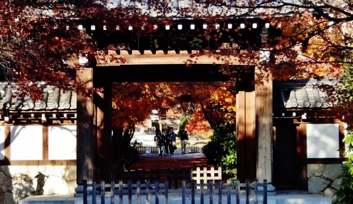 The fallen leaves of Koenji temple 高円寺 – the tokyo files 東京ファイル