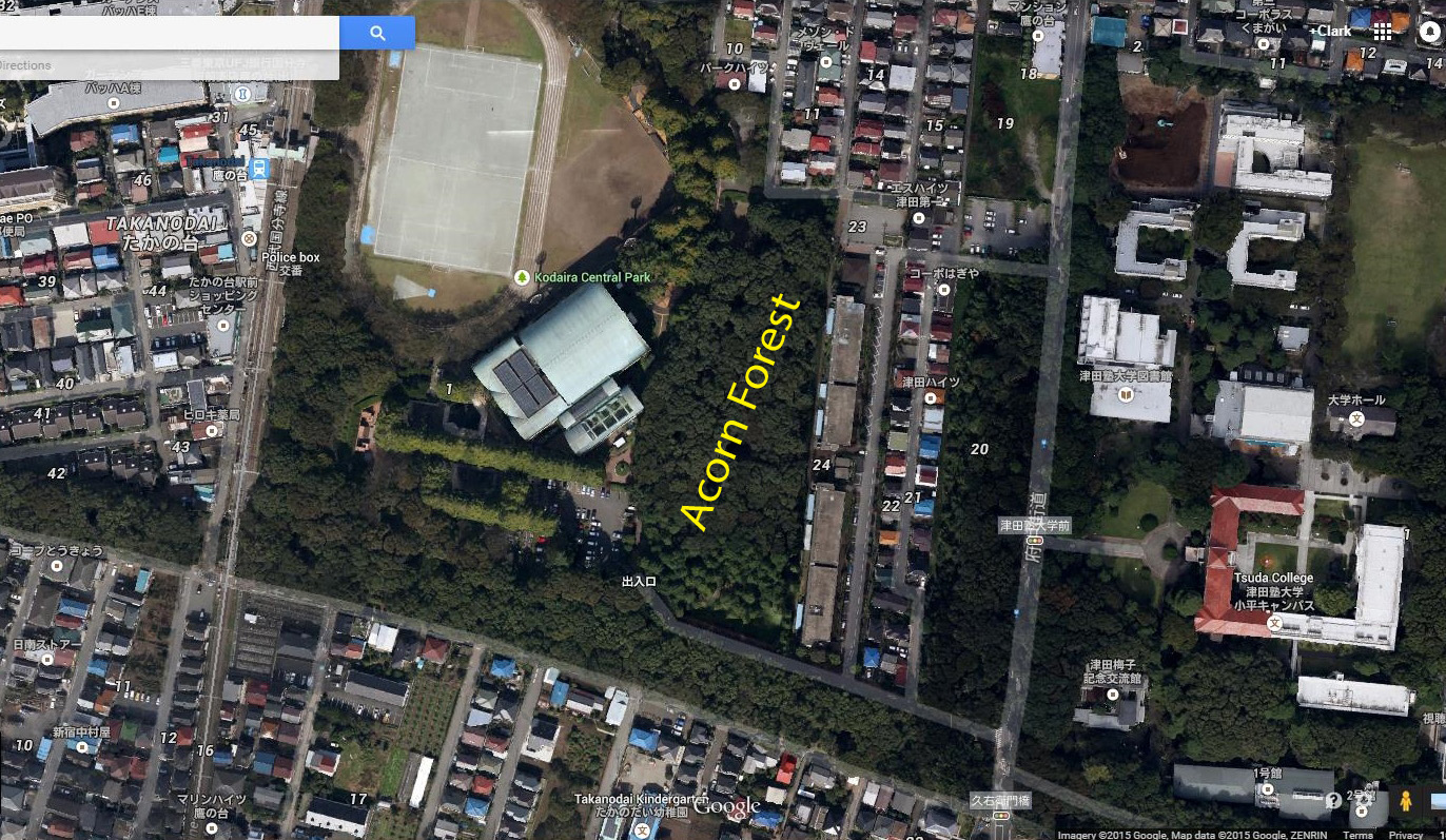 Acorn forest map aerial photo label – the tokyo files 東京ファイル