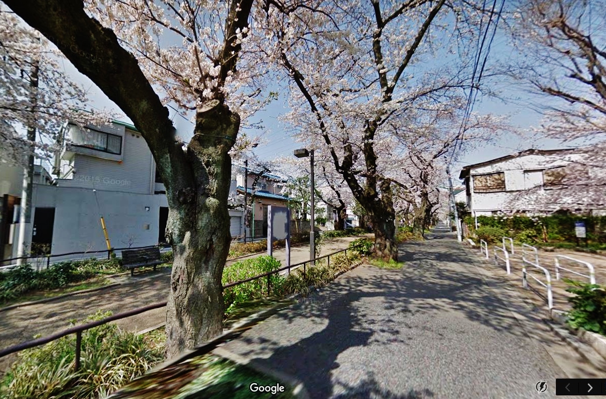 Tokyo river parallel lines map cherry blossoms – the tokyo files 東京ファイル