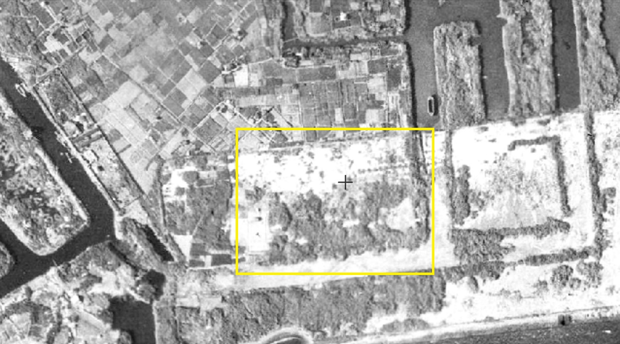 Satoko Kitahara, Maria of Ants Town 蟻の町のマリア – the tokyo files 東京ファイル